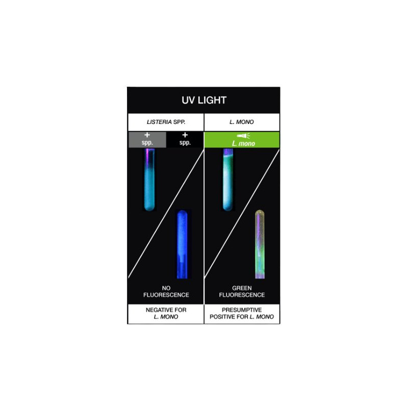 Insite Environmental Listeria Mono Glo Paquete